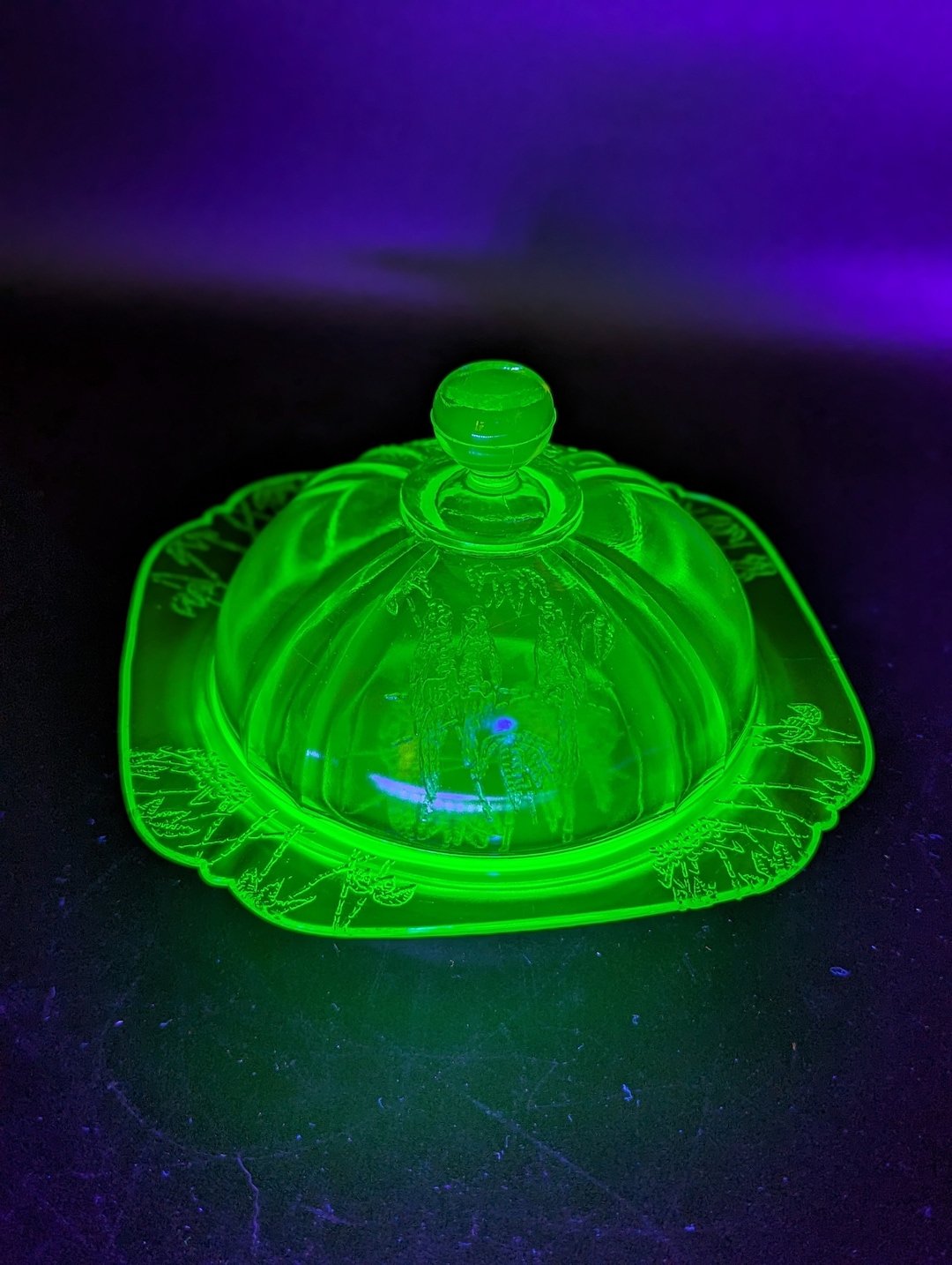 Rare Federal Green Uranium Glass Parrot Sylvan Butter Dish With Lid - Etsy