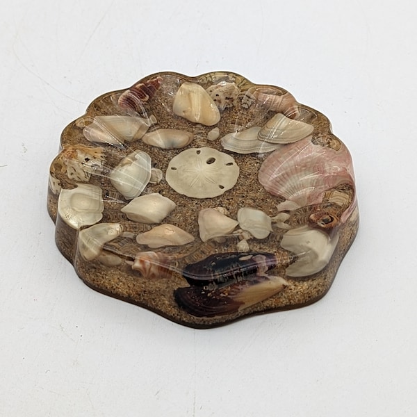Shell Soap Dish - Etsy