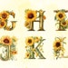 Sunflower Clipart Letter Sunflower Png Sunflower Font Alphabet Png ...