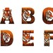 Tiger Png Tiger Clipart Tiger Font Png Alphabet Clipart Tiger Print ...
