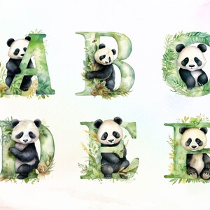 Panda Png Panda Clipart Alphabet Png Doodle Letters Animal Alphabet ...