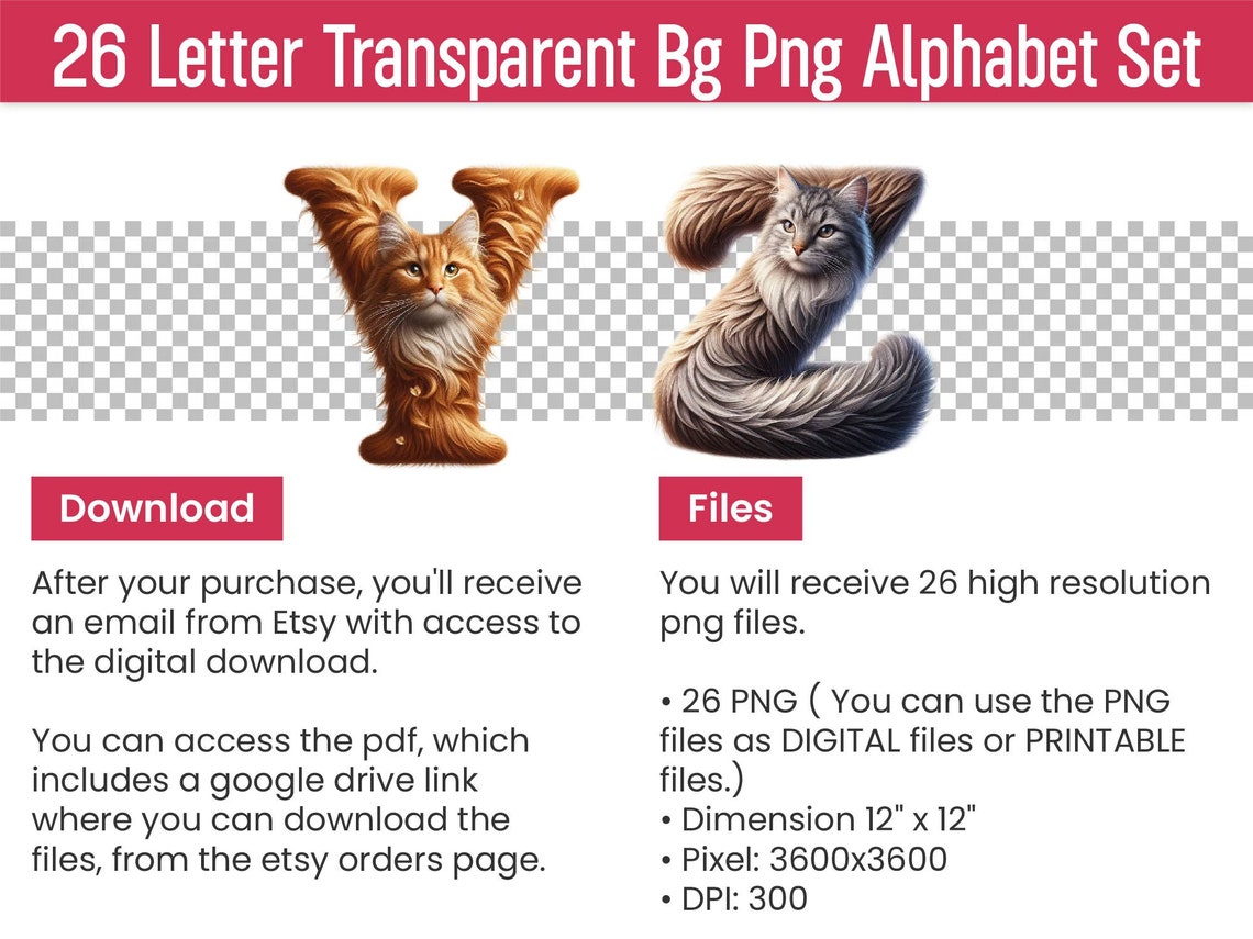 Cat Png Clipart Cat Letters Cat Font Alphabet Png Doodle Letters Png ...