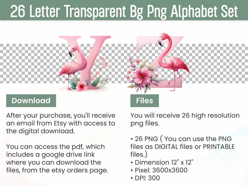 Flamingo Png Clipart Flamingo Font Alphabet Letters Flamingo Print ...