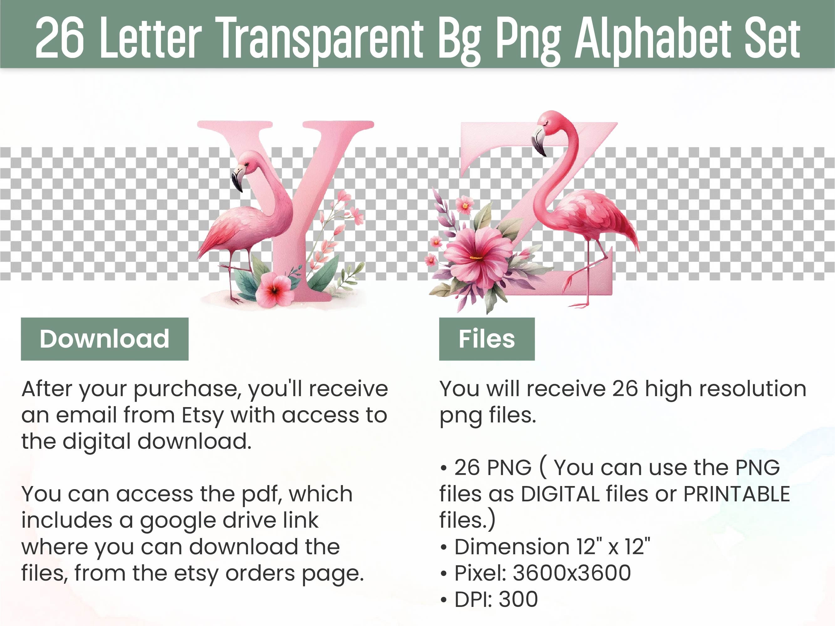 Flamingo Png Clipart Flamingo Font Alphabet Letters Flamingo Print ...