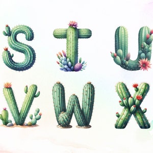Cactus Png Watercolor Cactus Font Cactus Letters Clipart Alphabet Png ...