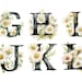 Daisy Png Clipart Daisy Font Daisy Letters Alphabet Png Doodle Letters ...