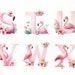 Flamingo Png Clipart Flamingo Font Alphabet Letters Flamingo Print ...