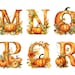 Pumpkin Png Fall Clipart Thanksgiving Png Thanksgiving Clipart Alphabet ...