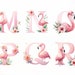 Flamingo Png Clipart Flamingo Font Alphabet Letters Flamingo Print ...