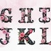 Rose Png Clipart Rose Font Alphabet Rose Letters Png Doodle Letters ...