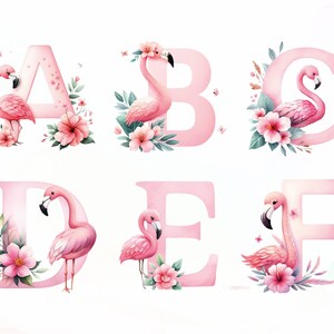 Flamingo Png Clipart Flamingo Font Alphabet Letters Flamingo Print ...