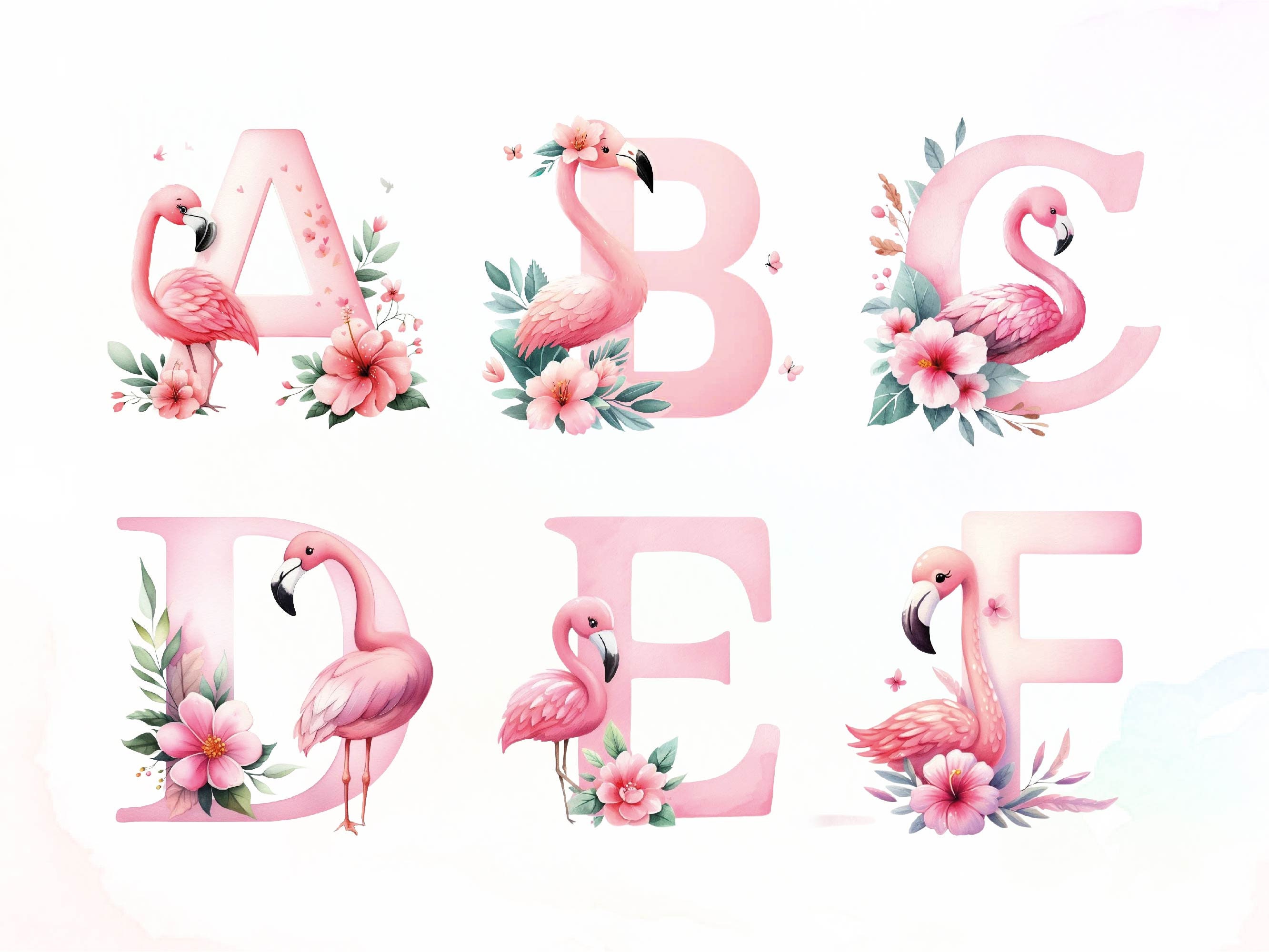 Flamingo Png Clipart Flamingo Font Alphabet Letters Flamingo Print ...