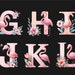 Flamingo Png Clipart Flamingo Font Alphabet Letters Flamingo Print ...