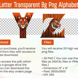 Tiger Png Tiger Clipart Tiger Font Png Alphabet Clipart Tiger Print ...