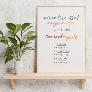 THINGS I CAN CONTROL, Circle of Control, Classroom Poster, Playroom ...