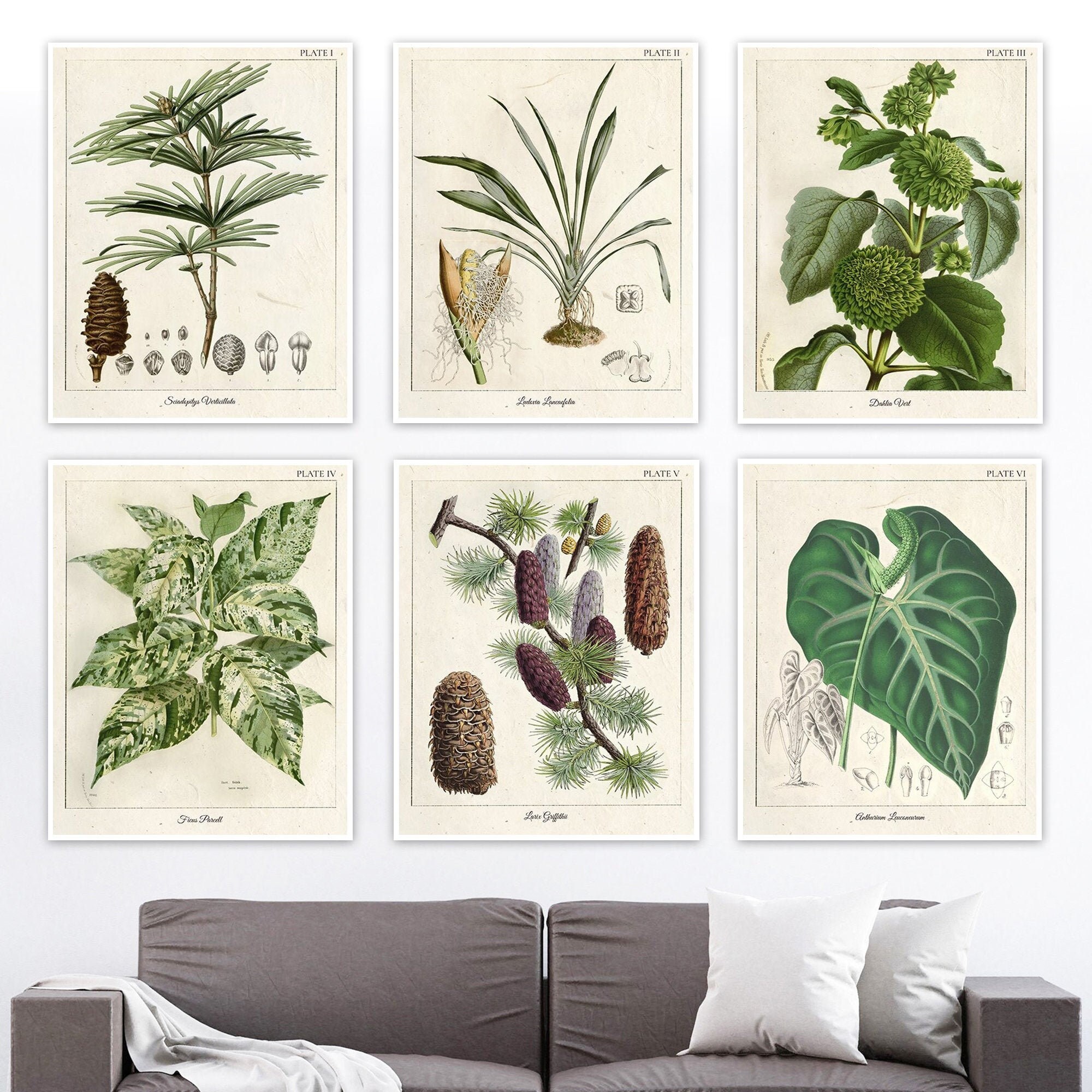 Botanische Wild Plant Anatomy Wand Kunst Poster Vintage Studie - Etsy.de