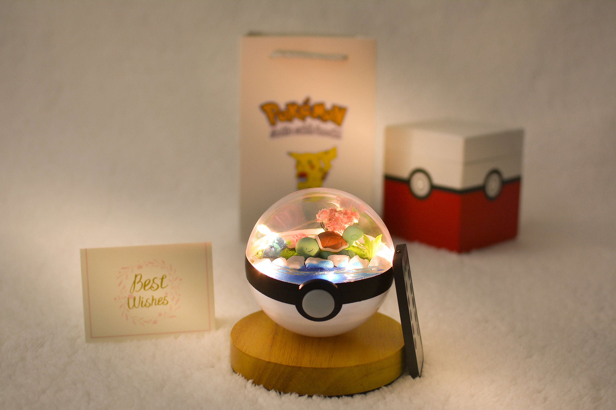 Pokemon Terrarium Pokeball Squirtle Sleepy Squirtle Terrarium | Etsy