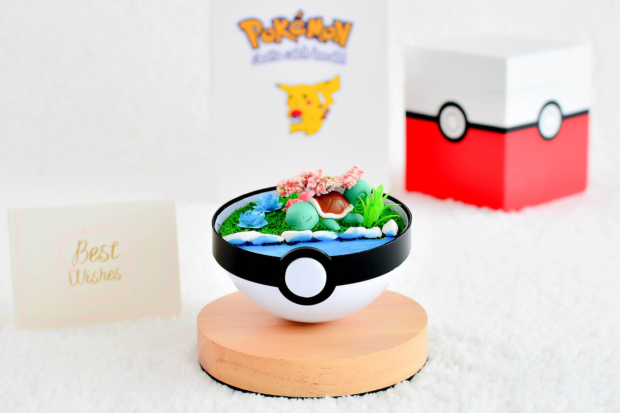 Pokemon Terrarium Pokeball Squirtle Sleepy Squirtle Terrarium - Etsy