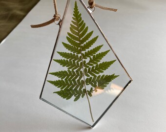 Fern in Stained Glass - Etsy