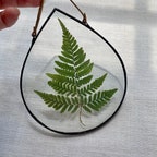 Fern Gift - Etsy