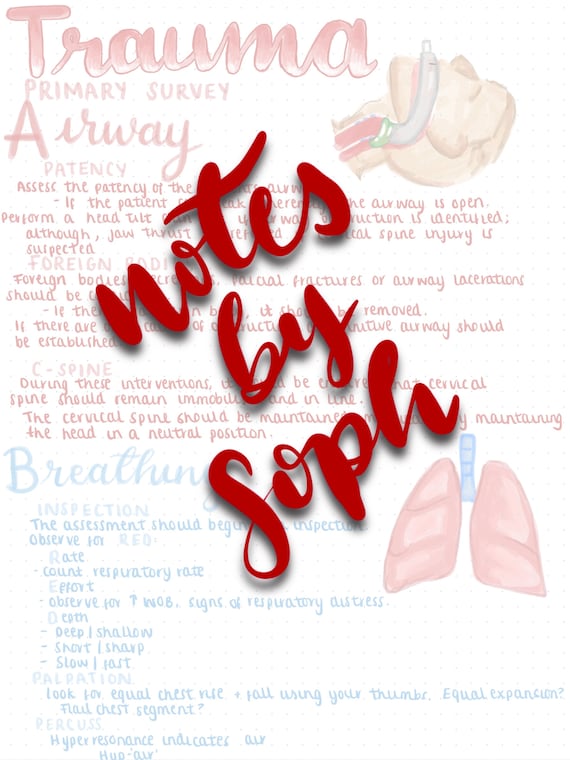 Trauma Primary Survey Digital Notes - Etsy