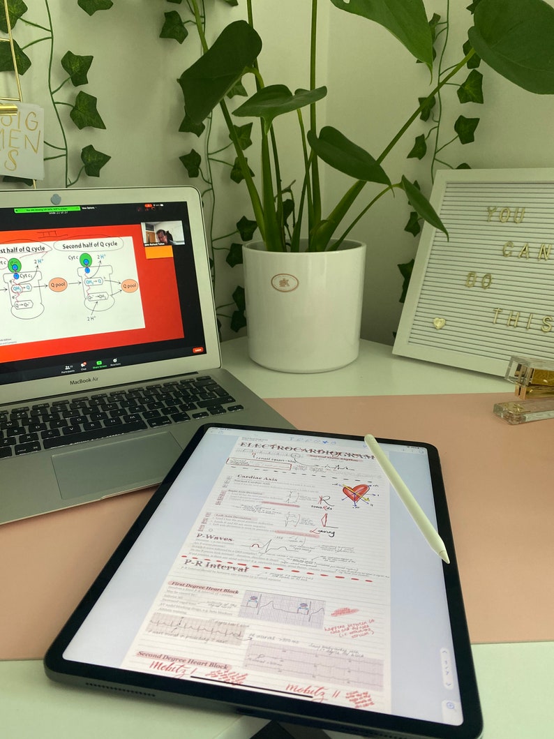 ECG/EKG Digital Notes - Etsy