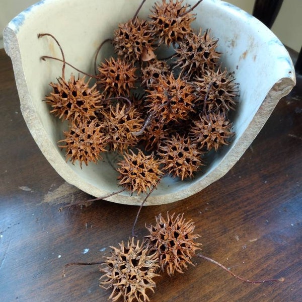 Sweet Gum - Etsy