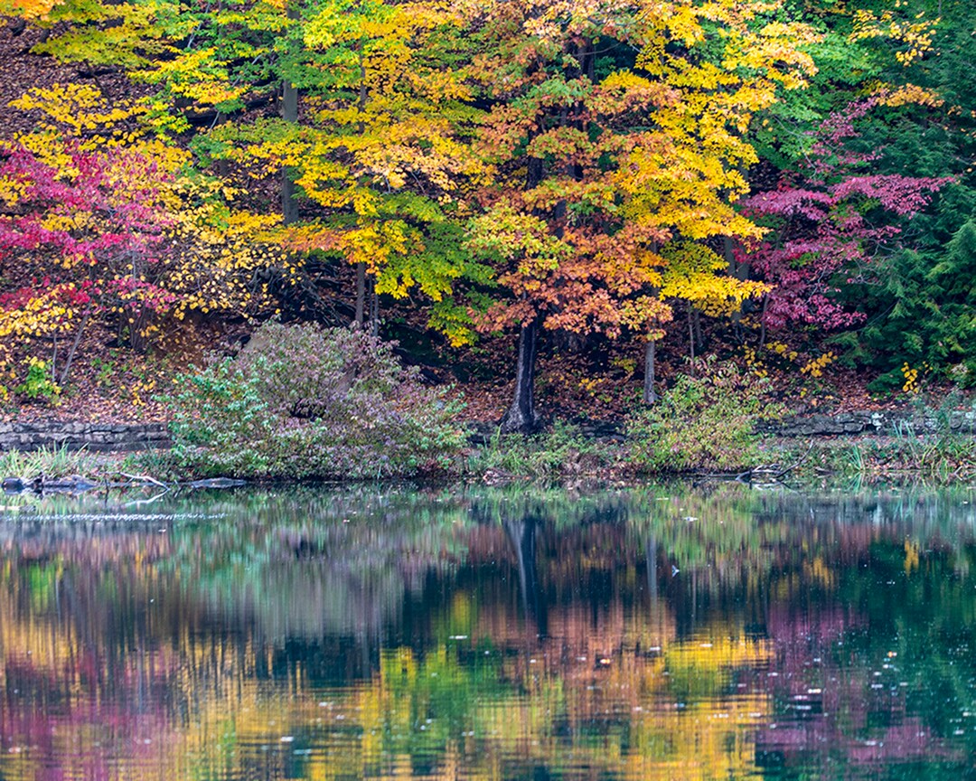 Fall Color Reflection, Fine Art Photography, Wall Art - Etsy