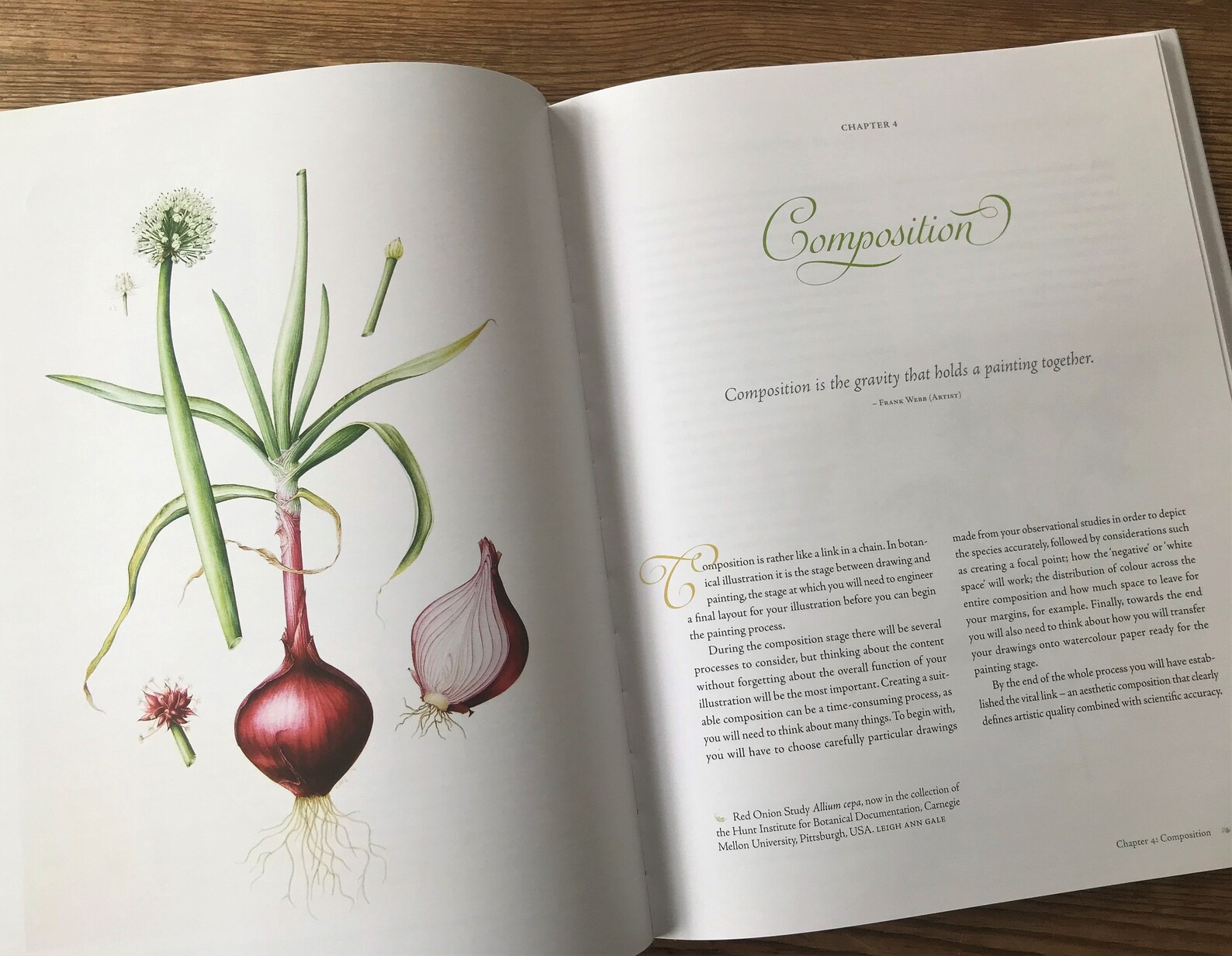 Libro 'Ilustración botánica la guía completa' | Etsy