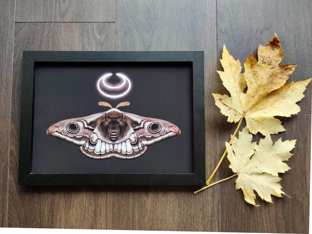 Emperor Moth Print - Etsy