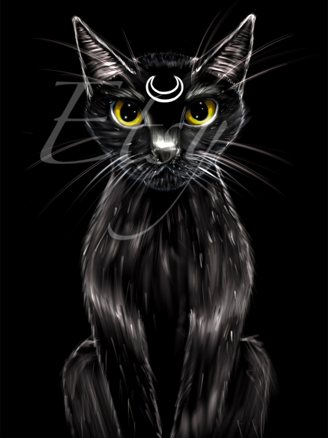 Black Cat Photo Realistic Digital Wall Painting Matte Paper | Etsy