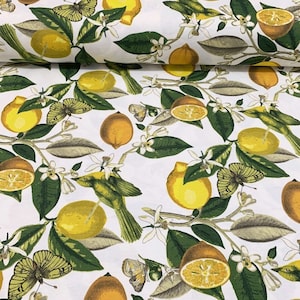 Lemon Print - Etsy