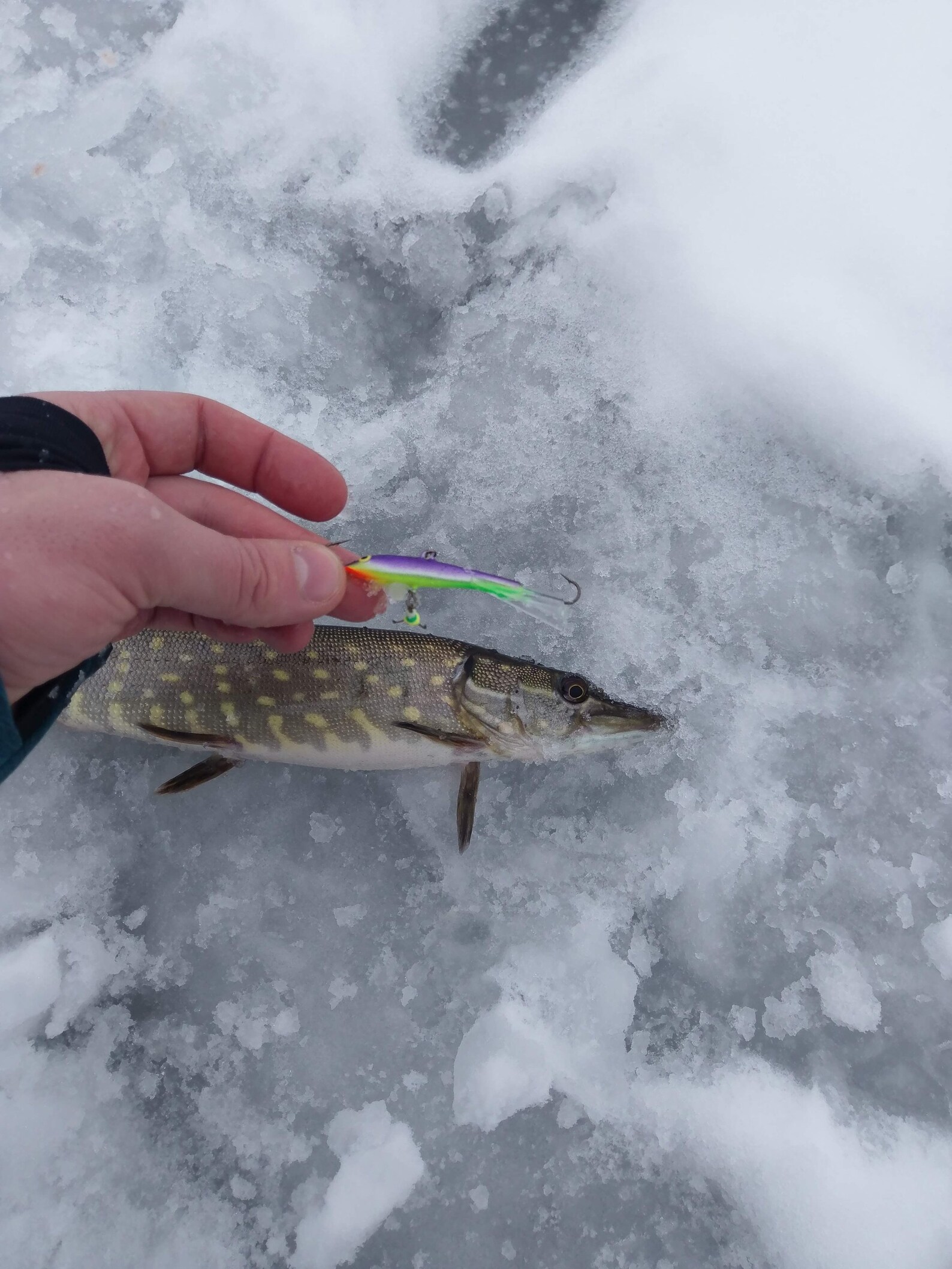 Ice Jig, Winter Lures, Ice Lures, Fishing - Etsy