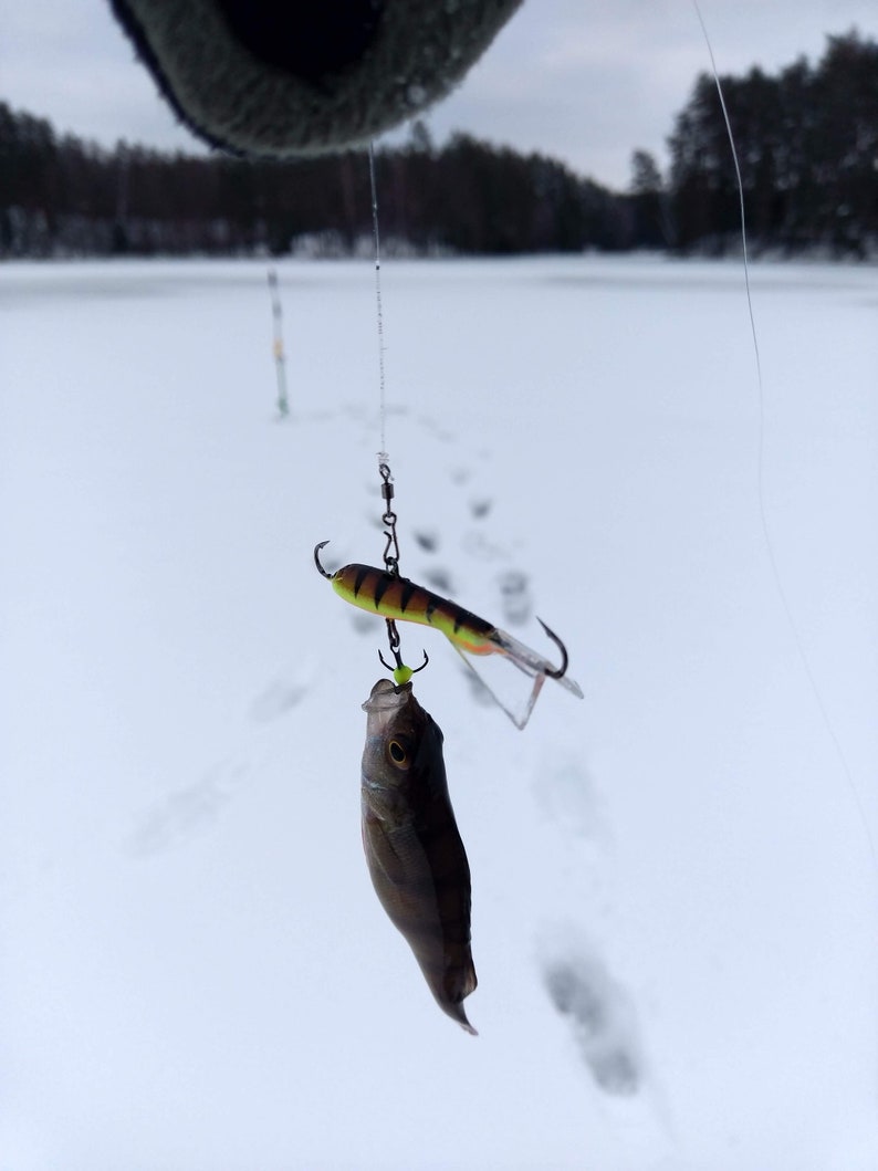 Ice Jig, Winter Lures, Ice Lures, Fishing - Etsy
