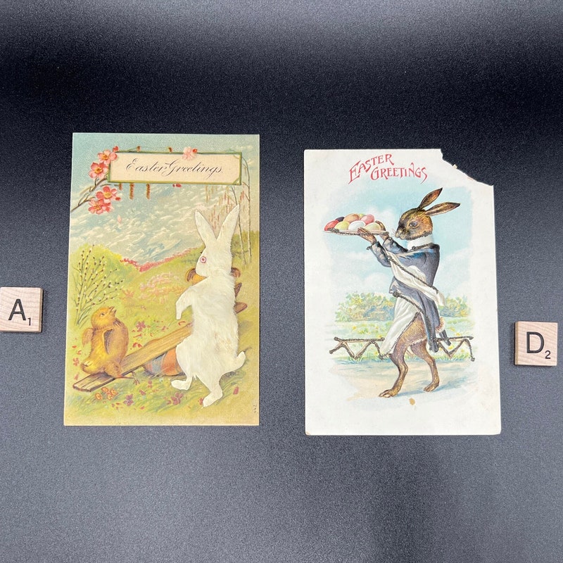 Bunny Postcard - Etsy