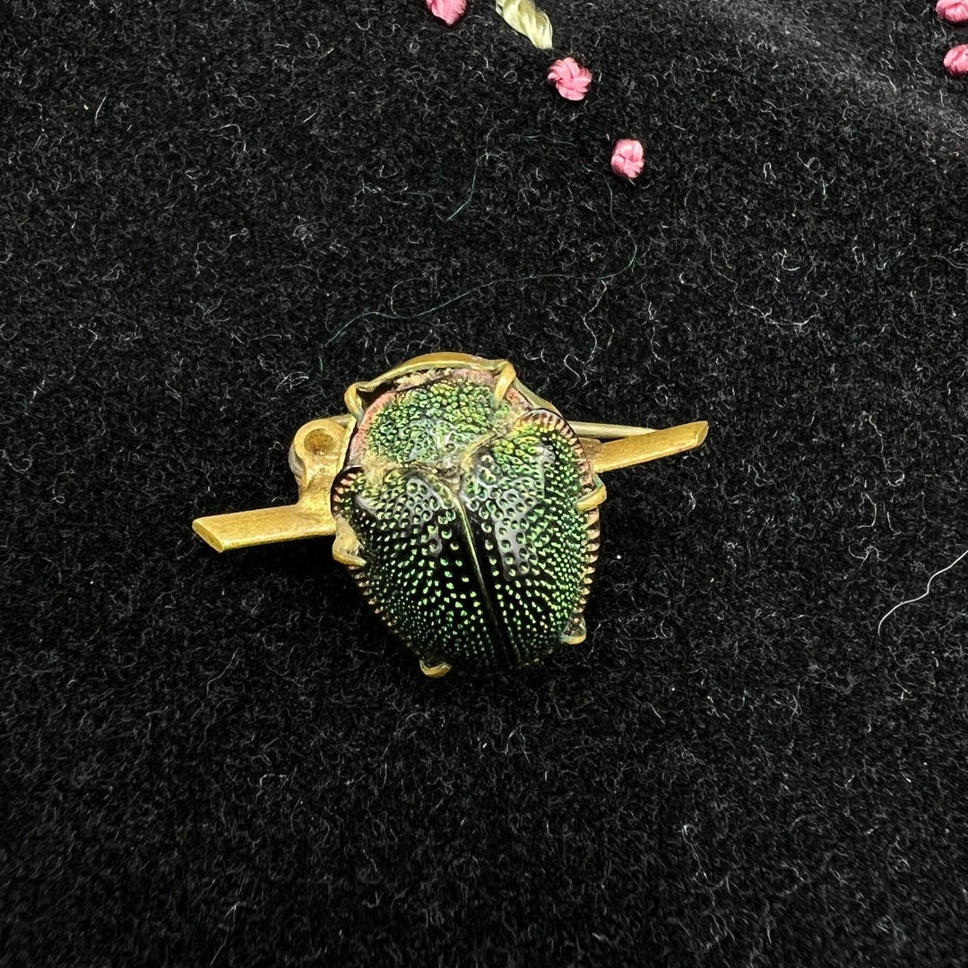 Vintage Scarab Brooch 1920s Scarab Pin Real Scarab Brooch Egyptian ...