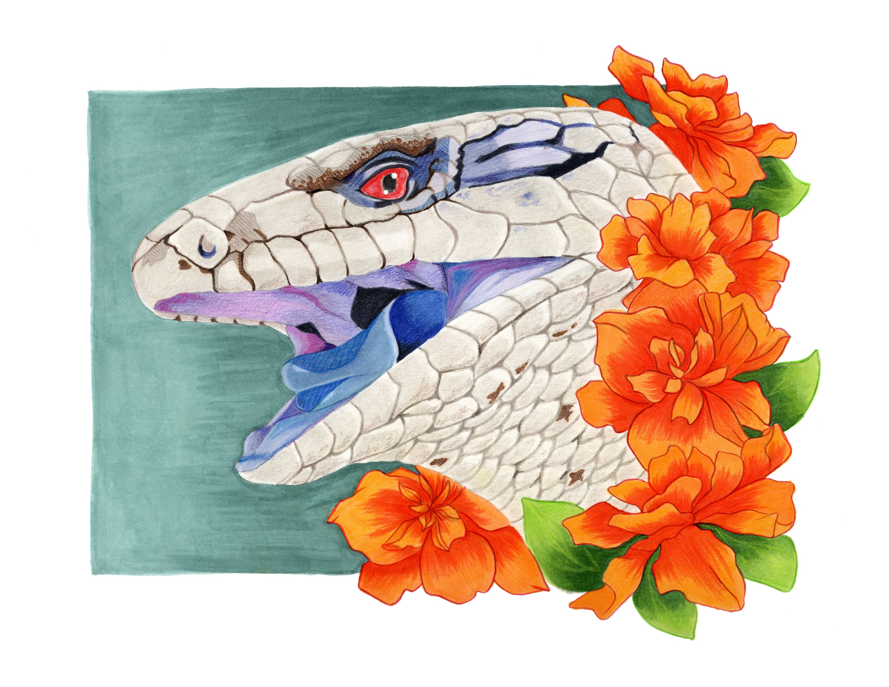 Blue Tongue Skink Art Print 8x10 or 5x7 Unique Reptile Wall Art - Etsy