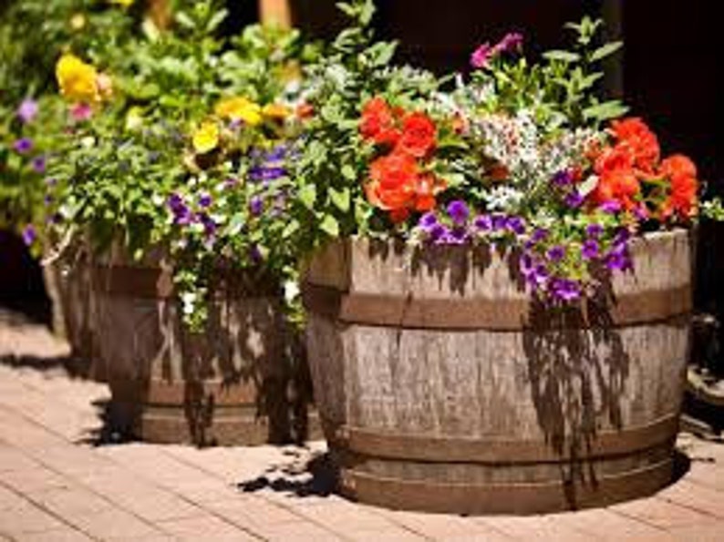 WHISKEY BARREL PLANTER - Reclaimed Oak Cask Planters - Freshly Made to ...