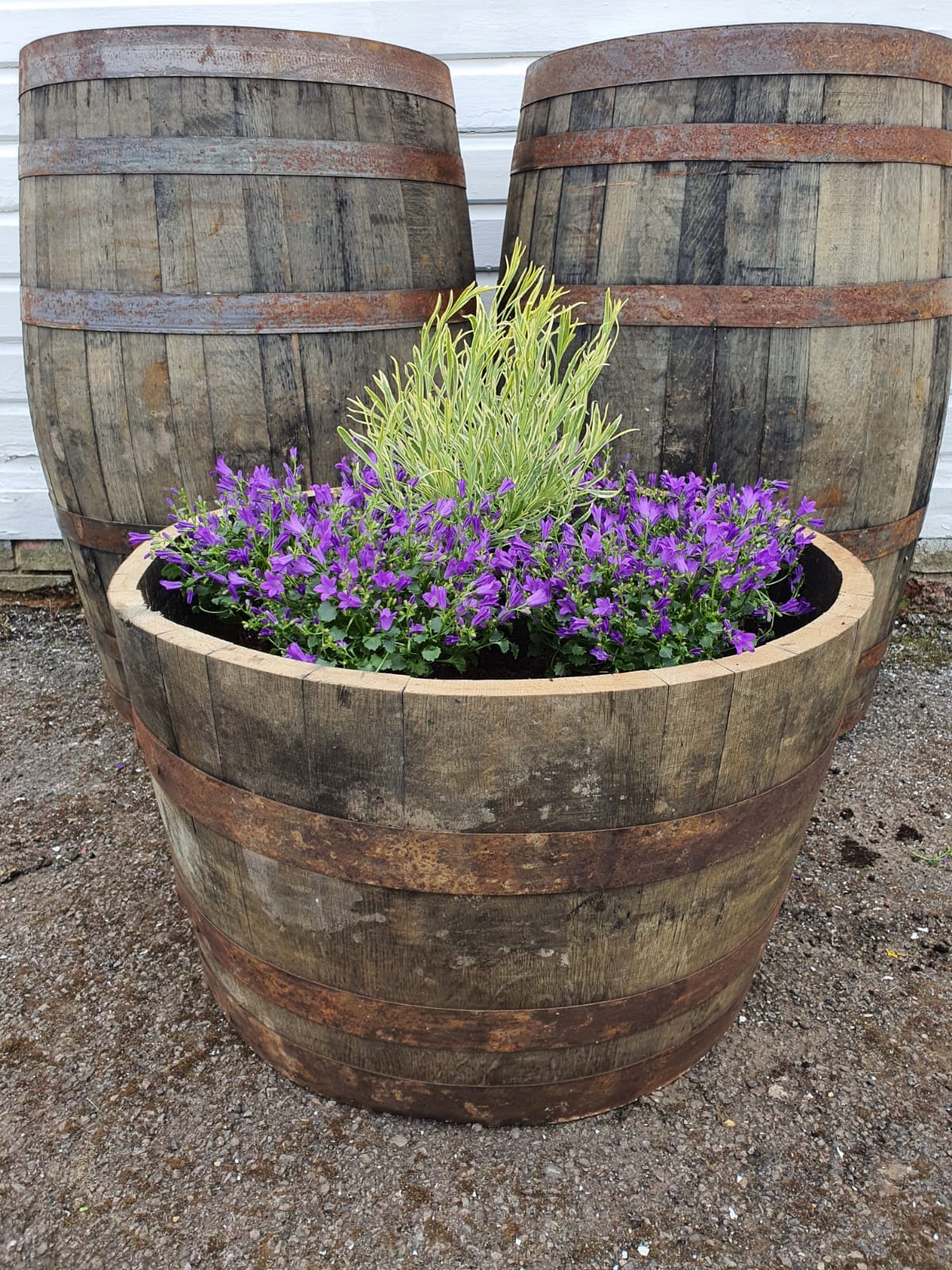 Oak Barrel Whisky/whiskey Planter Half Barrel Tub Rustic Garden Flower ...