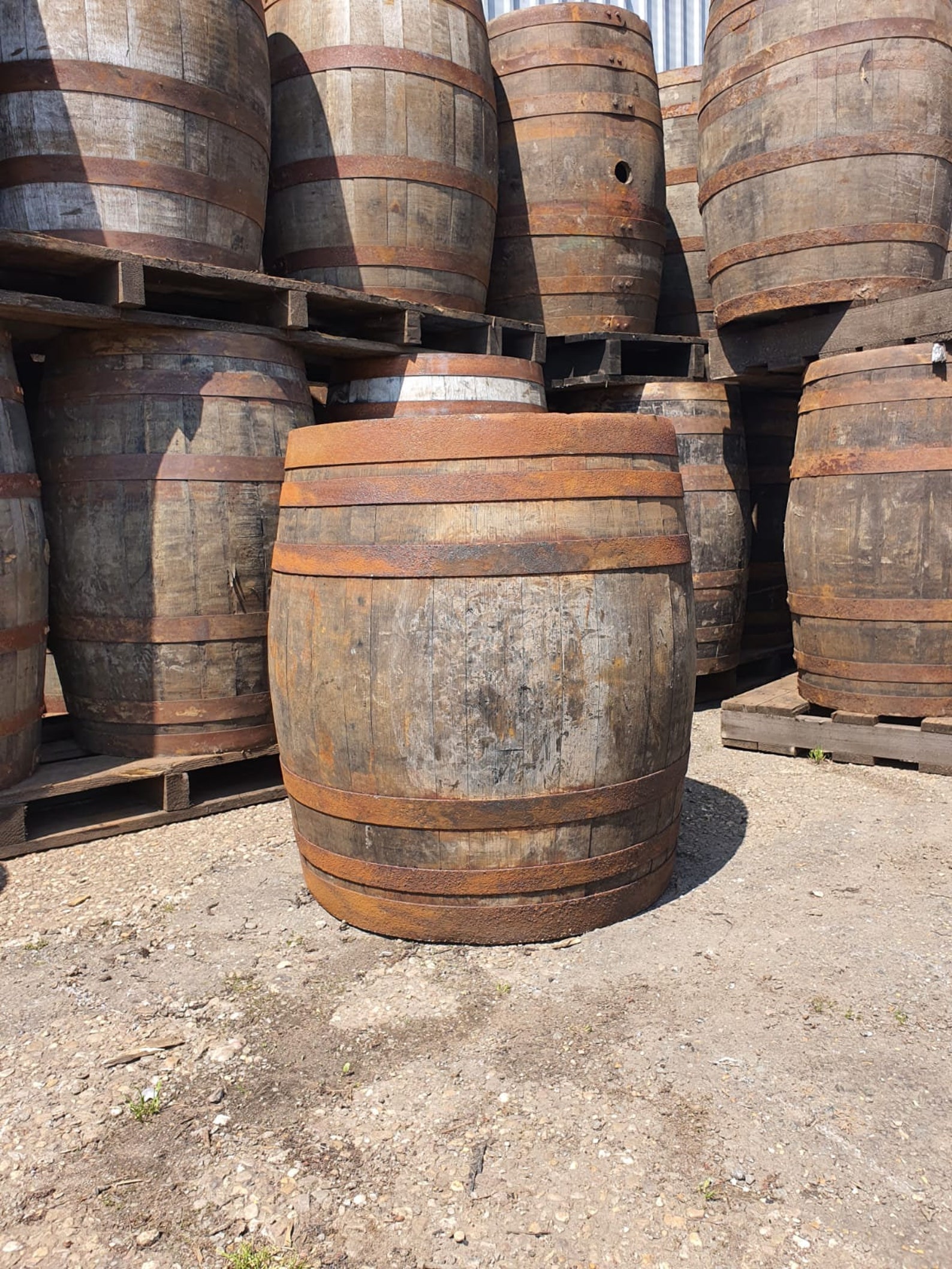 Short Wide Dumpy Hogshead Whisky Oak Whiskey Barrel Cask Man - Etsy UK