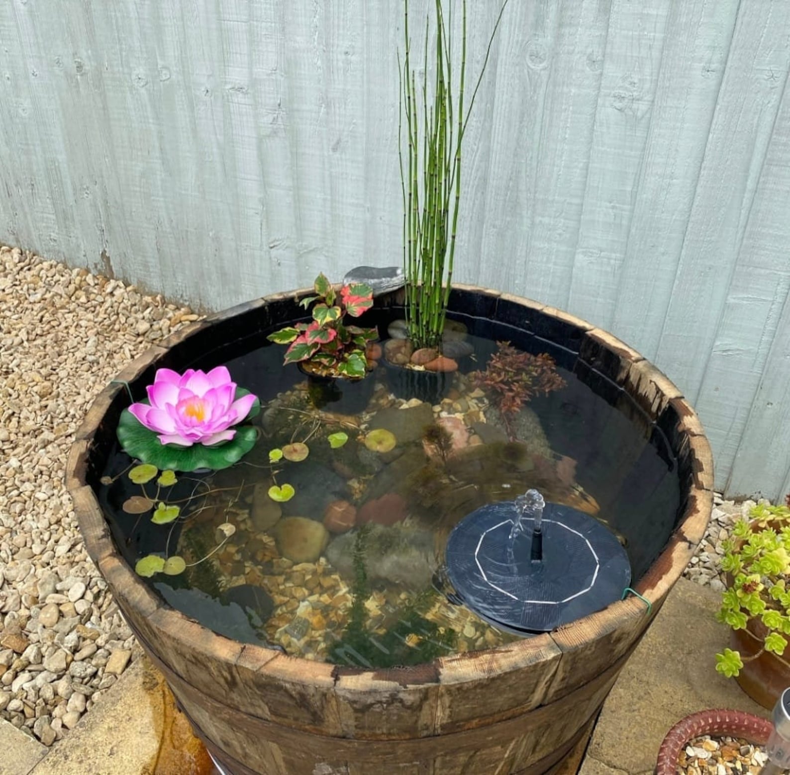 Water Tight / Pond / Half / Whisky / Barrel / Oak / Planter / - Etsy UK