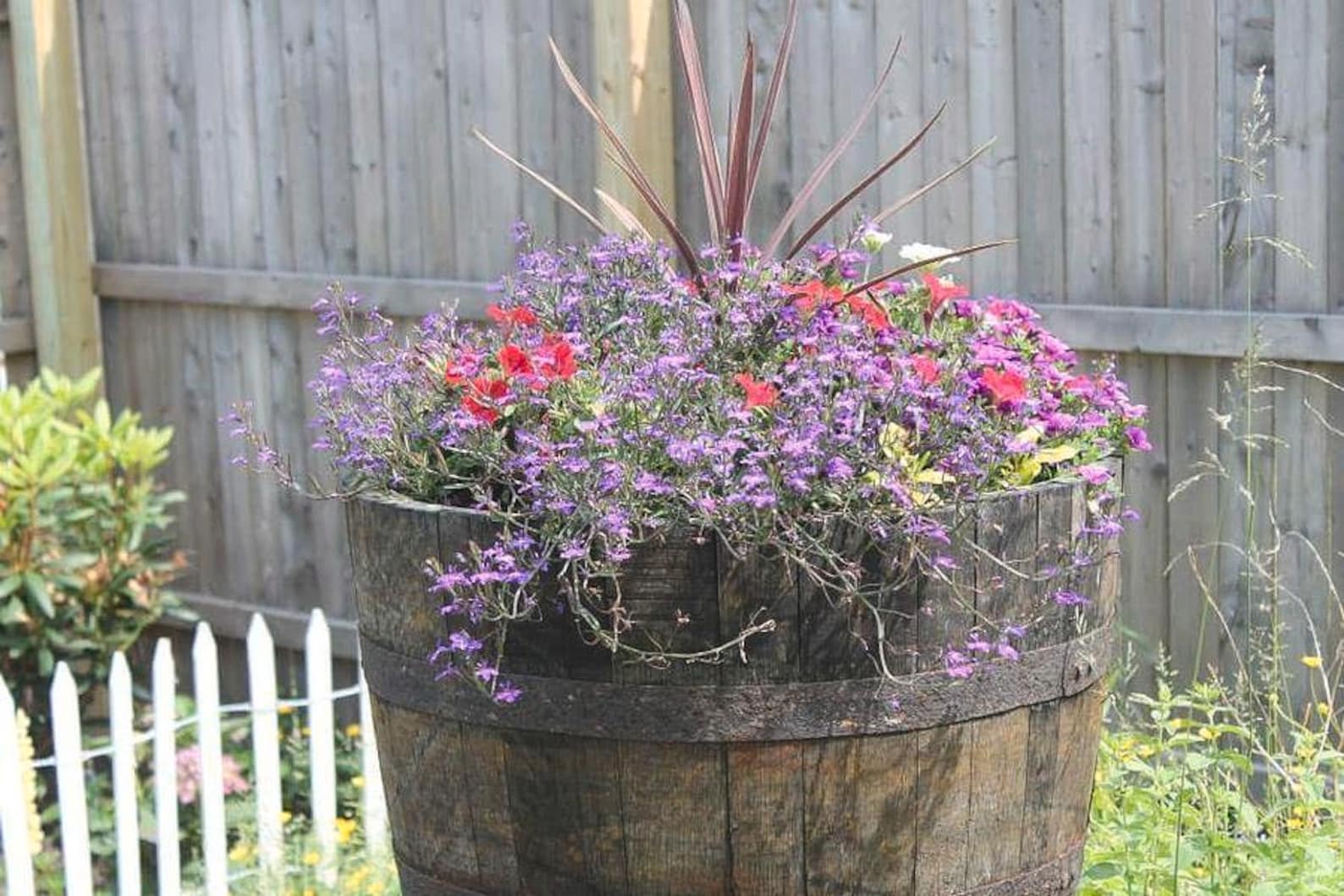 WHISKEY BARREL PLANTER - Reclaimed Oak Cask Planters - Freshly Made to ...