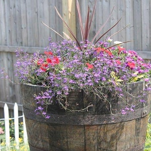 WHISKEY BARREL PLANTER - Reclaimed Oak Cask Planters - Freshly Made to ...