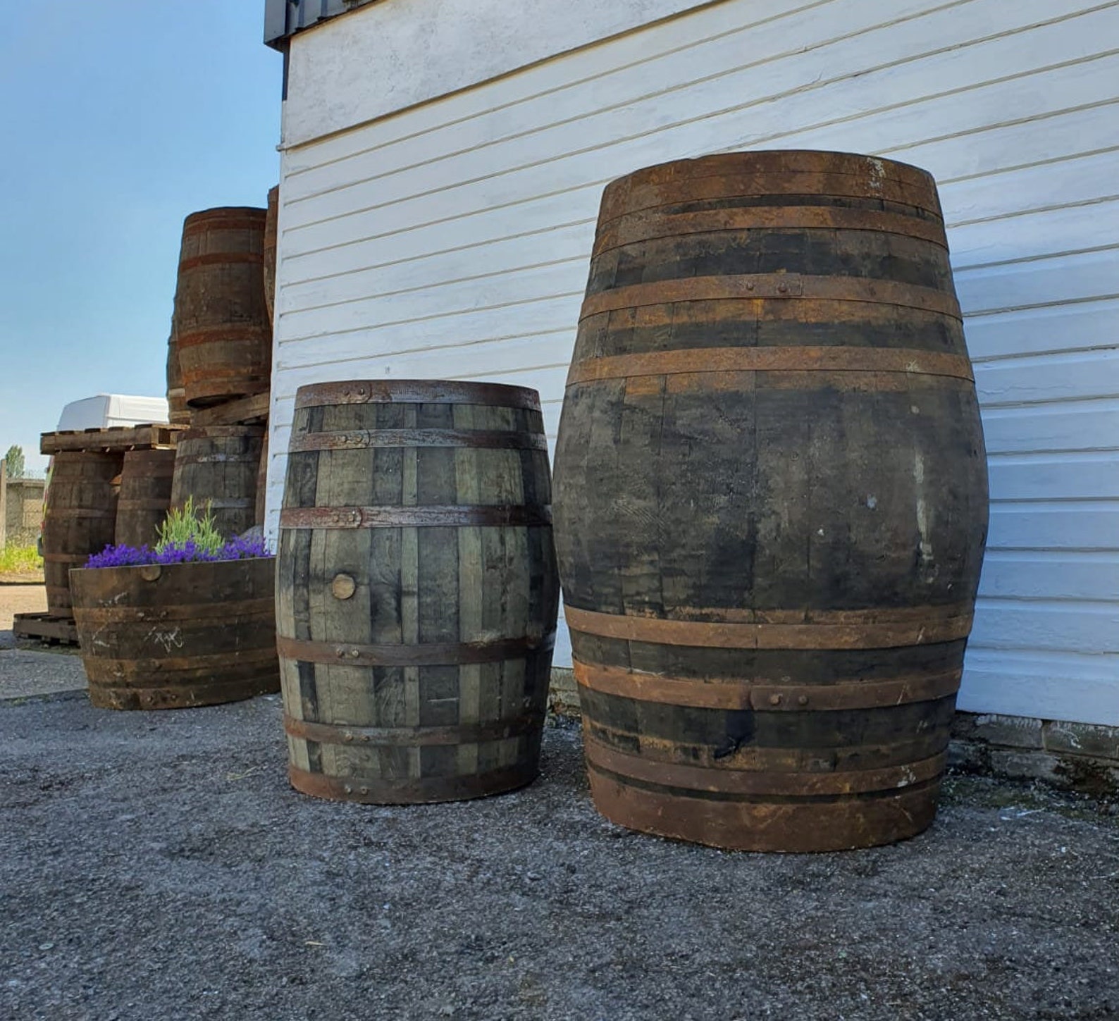Giant Big Extra Large Whiskey Whisky Scotch Bourbon Oak Barrel - Etsy