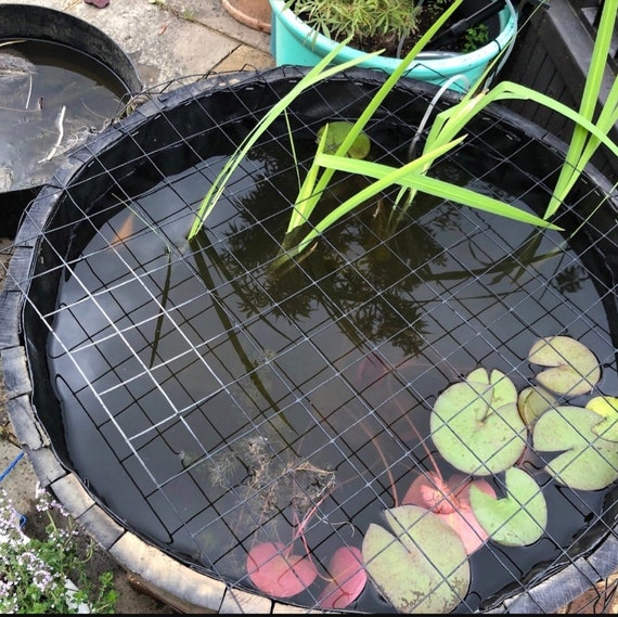 Half Whiskey Barrel Ponds