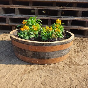 Shallow Quarter Oak Barrel Tub Planter Whisky Bulb Herb Garden Solid ...