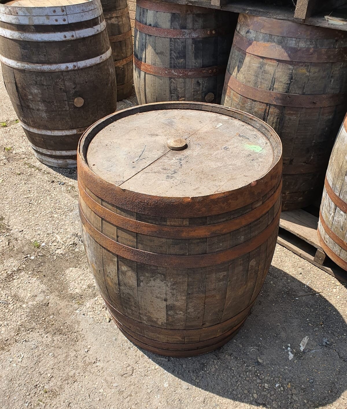 Short Wide Dumpy Hogshead Whisky Oak Whiskey Barrel Cask Man - Etsy UK