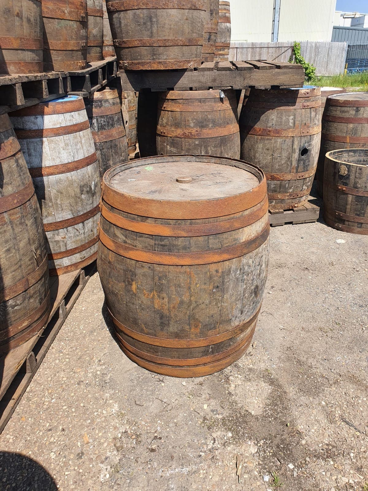 Short Wide Dumpy Hogshead Whisky Oak Whiskey Barrel Cask Man - Etsy UK