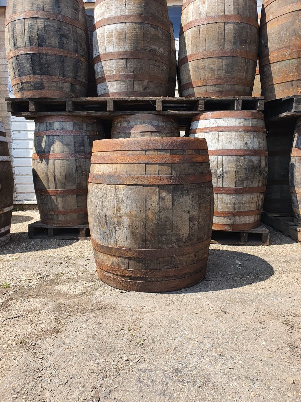Short Wide Dumpy Hogshead Whisky Oak Whiskey Barrel Cask Man Cave Home ...