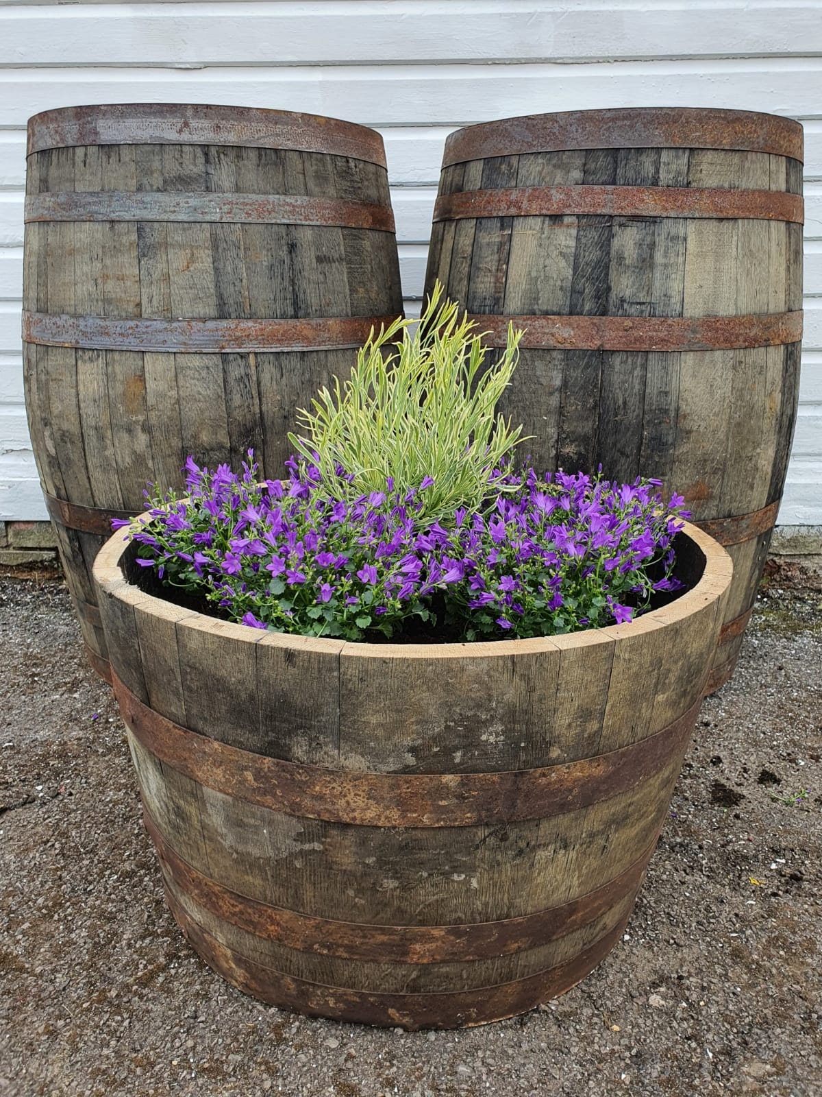 Oak Barrel Whisky/whiskey Planter Half Barrel Tub Rustic Garden Flower ...